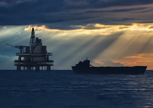 Dulsco - People and Environmental Solutions Company